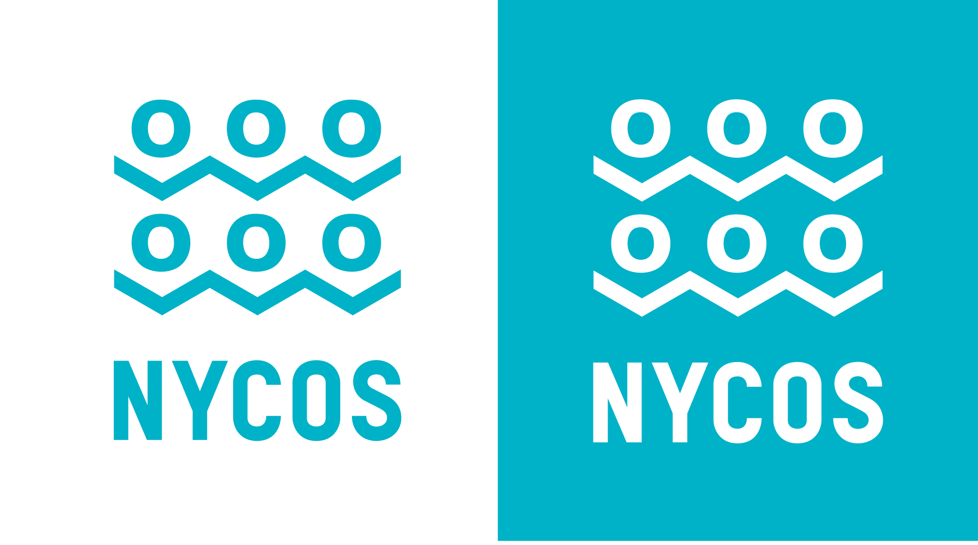 Download our logo | NYCOS