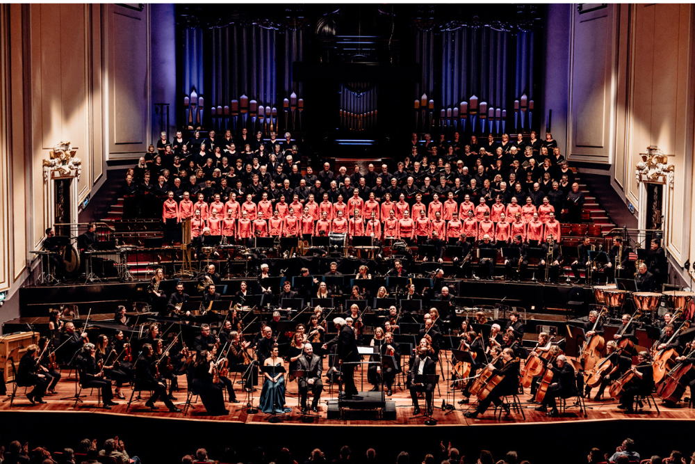 A look back at 2022 - NYCOS